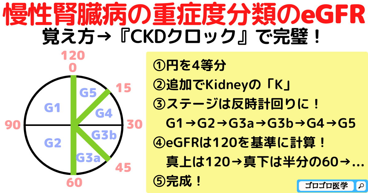 【CKDクロック】慢性腎臓病の重症度分類のeGFRの覚え方・ゴロ【CBT国試対策】 - ゴロゴロ医学