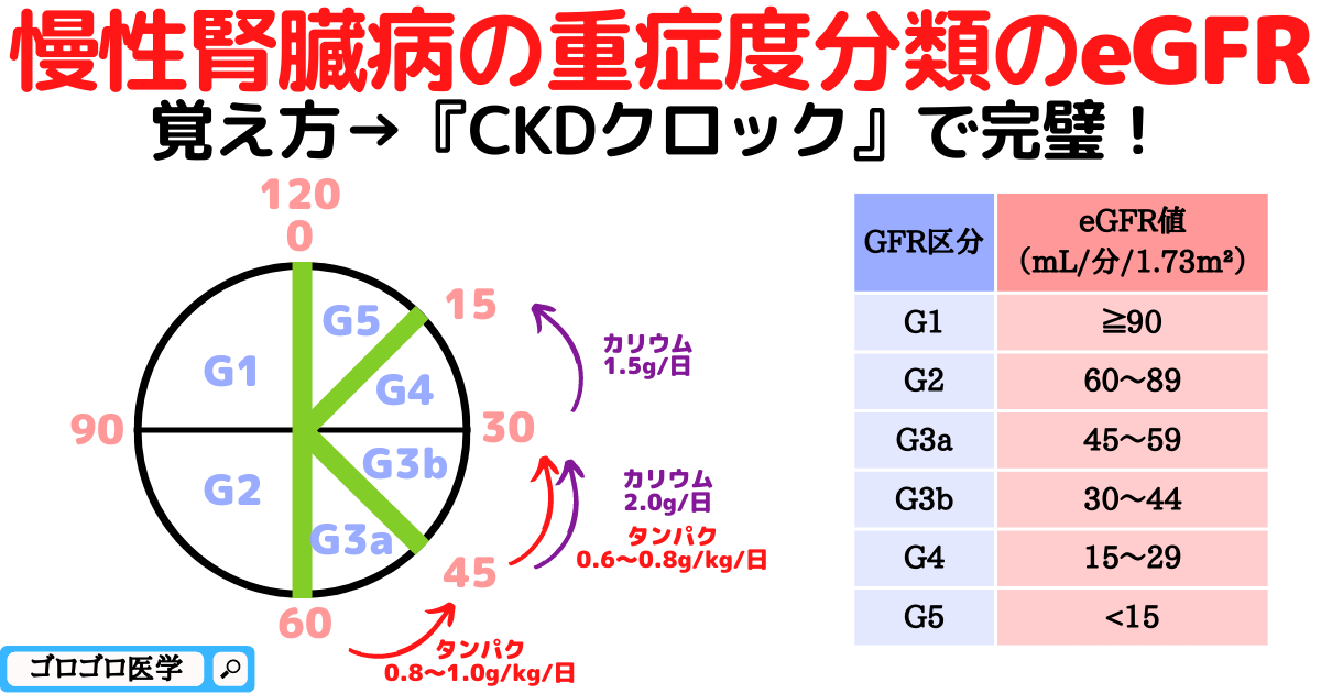 【CKDクロック】慢性腎臓病の重症度分類のeGFRの覚え方・ゴロ【CBT国試対策】 - ゴロゴロ医学
