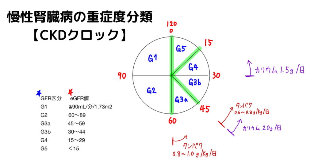 【CKDクロック】慢性腎臓病の重症度分類のeGFRの覚え方・ゴロ - ゴロゴロ医学