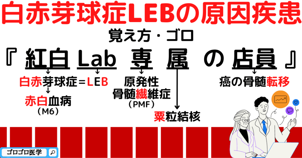 【鑑別】白赤芽球症LEBの定義と原因疾患の覚え方・ゴロ【CBT国試対策】 - ゴロゴロ医学