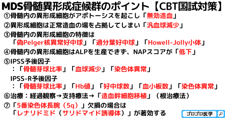 MDS骨髄異形成症候群の特徴と予後因子と治療の覚え方・ゴロ - ゴロゴロ医学