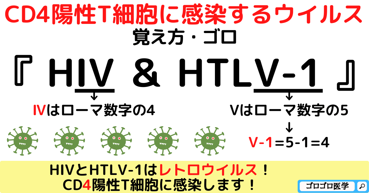 【レトロウイルスとは？】CD4陽性T細胞に感染するHIVとHTLV-1の覚え方・ゴロ - ゴロゴロ医学