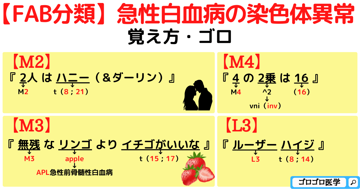 APL急性前骨髄性白血病の特徴-病理-遺伝子-治療薬-DIC合併の覚え方・ゴロ - ゴロゴロ医学