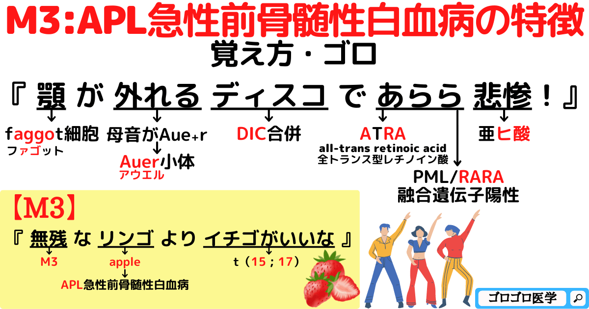 APL急性前骨髄性白血病の特徴-病理-遺伝子-治療薬-DIC合併の覚え方・ゴロ - ゴロゴロ医学